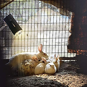 GABraden Reptile Pet Coop Heater 50W Safer Than Brooder Lamps Used for Rabbits, Chickens, Hamsters and Other Small Animals (Black)