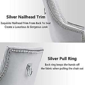 Anewsun Modern Dining Chairs, Light Grey Velvet Upholstered Dining Room Chair with Silver Mirrored Stainless Steel Legs, Set of 2