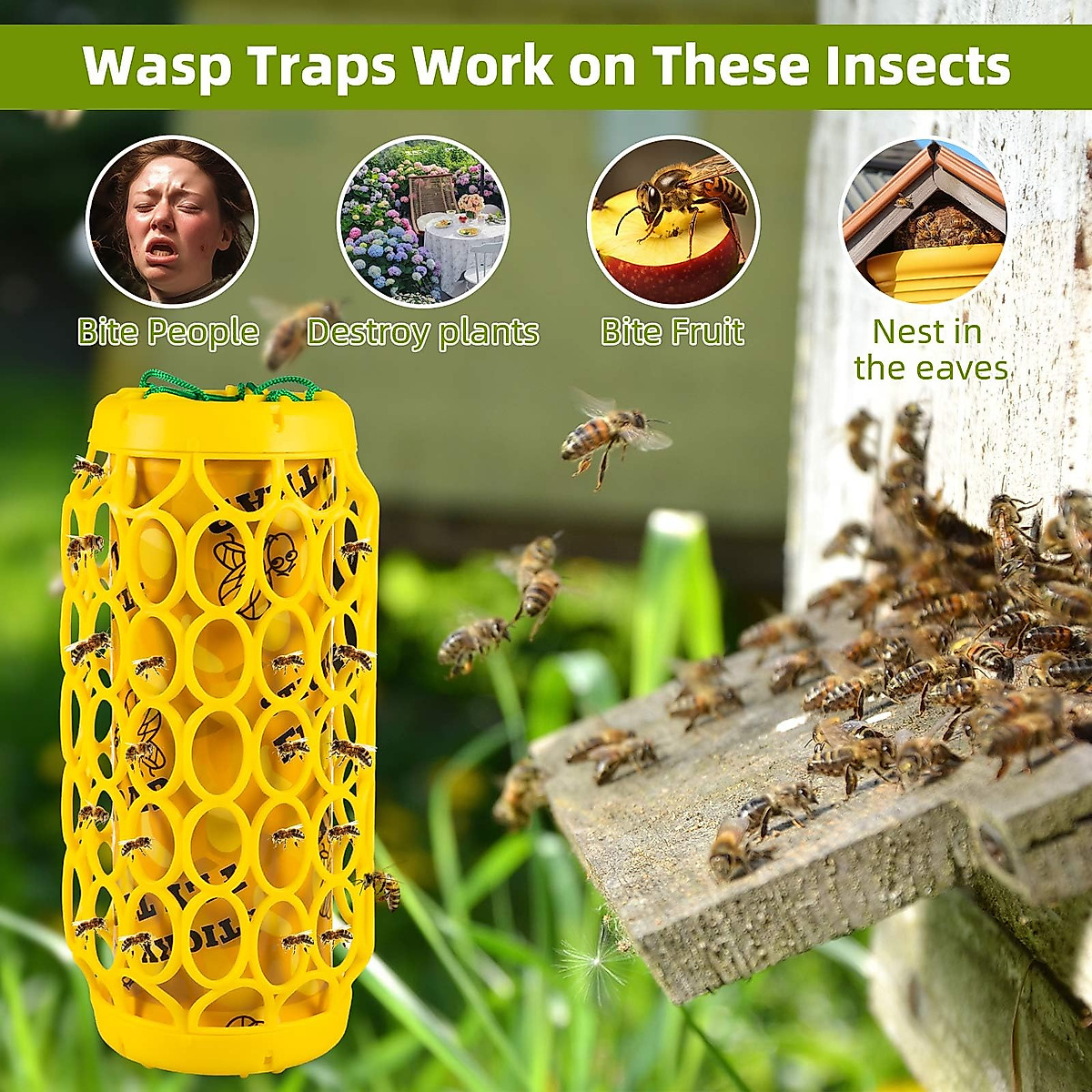 Sticky Fly Traps Outdoor Hanging,Fruit Fly Traps for Indoors,Wasp Trap Bee Traps Catcher,Yellow Jacket Trap,Flying Insect Trap,2 Pack Wasp Deterrent Killer Fly Insect Catcher with 4 Sticky Boards