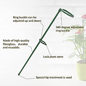 Plant Stakes,Plant Support Stakes with Rings for Indoor and Outdoor Plants.MIALEXO 19Pcs Plant Support Sticks Suitable for Potted Plant Flowers Tomatoes Peony Lily Rose (17.6-18inches)