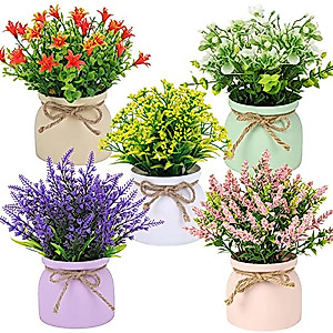 CEWOR Small Fake Plants - 5 Pack Artificial Potted Flowers Faux Greenery Plants, Eucalyptus Boxwood Lavender in Plastic Macaron Pots Bonsai for Home Office Shelf Desktop Indoor Outdoor Wedding Decor