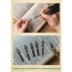 OPENDGO Vintage Feather Quill Pen and Ink Set Feather Dip Pen Calligraphy Pen Set Writing Quill Ink Dip Pen with Ink and 5 Nibs for Writing Drawing,Birthday Wedding Gift Set