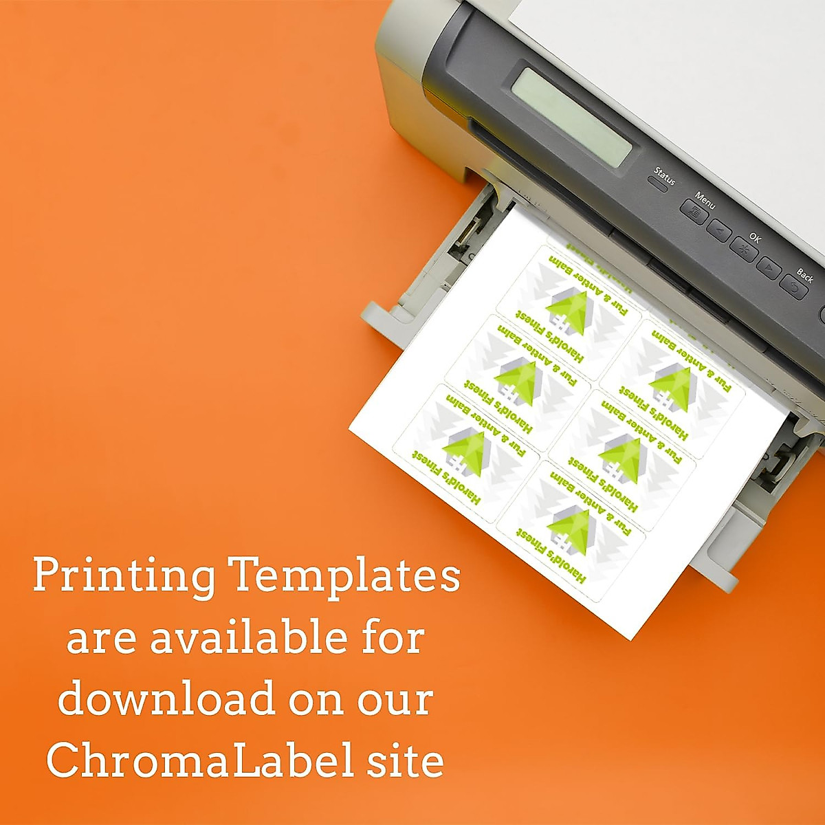 ChromaLabel 2 x 3 Inch Printable Labels, Office Labels & Stickers Compatible with Laser and Inkjet Printers - 25 Label Sheets, 250 Label Stickers, White