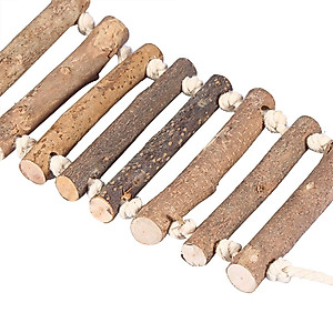 TOPINCN Coconut Shell Bird Nest Breeding Nest Pet Parrot Hideaway House with Rope Ladder for Bird and Small Animal Toy 2 Sizes (#2)