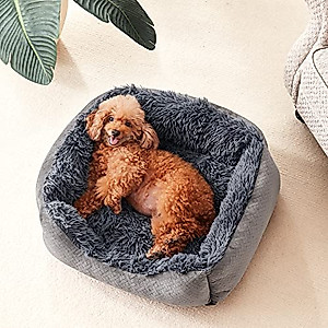 INVENHO Small Dog Bed for Small Medium Large Dogs, Rectangle Washable Dog Bed, Orthopedic Dog Sofa Bed, Durable Plush Pet Bed, Soft Calming Sleeping Puppy Bed with Anti-Slip Bottom S(20"x19"x6")