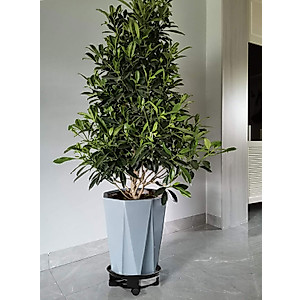 Amkoskr 1 Pack 17.7" Black Plant Caddy with Easy Moving Caster Wheels and a Water Container Round Movable Planter Dolly Trolley Tray Pallet Outdoor Indoor Tree Flower Stand Planter