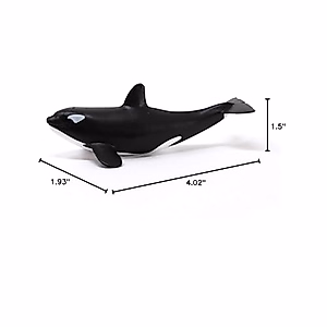 Schleich Wild Life, Ocean and Marine Life Toy Animals for Kids, Baby Orca Whale Toy Figurine, Ages 3+
