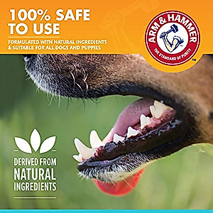 Arm & Hammer for Pets Fresh Breath Dental Spray for Dogs | Reduce Plaque & Tartar Buildup Without Brushing, 4 Ounces, Mint Flavor | Dog Teeth Cleaning Spray, Arm and Hammer Dog Dental Care