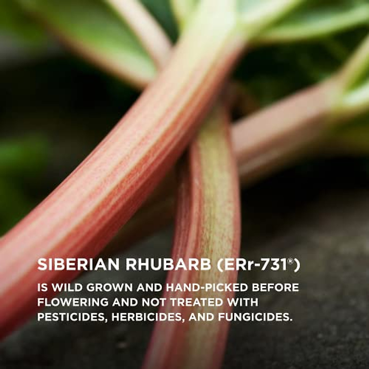 Solgar Menopause Relief - 30 Tablets - Helps Relieve Hot Flashes, Exhaustion, Irritability, Sleep Disturbances & More - Promotes a Positive Mood - Non-GMO, Gluten Free, Vegan - 30 Servings