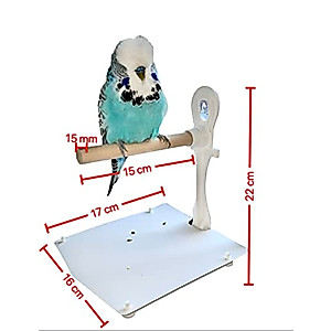 Stick On Bird Perch/Window Perch for Small - Medium Birds. (Has Removable Droppings Tray) Portable Shower Bird Perch Stand