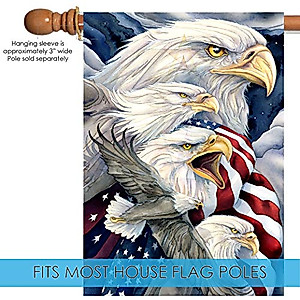 Toland Home Garden 1012379 Fly In Unity Patriotic Flag 28x40 Inch Double Sided Patriotic Garden Flag for Outdoor House Eagle Flag Yard Decoration