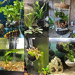 Crystal Glass Aquatic Plant Cup Pot Holder,Fashionclubs Aquarium Tank Live Plant Glass Pot Red Shrimp Holder with 2 Suckers,Fish Tank Aquascape Decor,2-Pack