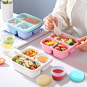 TOUWMX 12 Pack Salad Dressing Containers, 2oz Leakproof Sauce Containers with Lids, Portable Lunch Box Accessories, BPA Free, Microwave & Dishwasher Safe