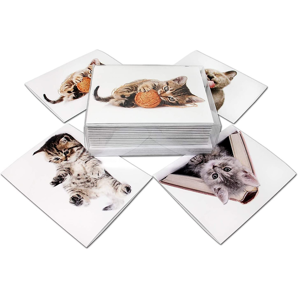 Small World Greetings Playful Kitten Cards 12 Count - Blank Inside with Envelopes - A2 Size (5.5”x4.25”) - Cat Stationery - All Occasion, Thank You, Birthday, and More