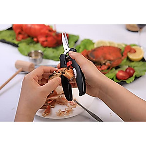 Criativo live Seafood Scissors, Lobster Scissors, Crab Scissors, Seafood Tools 4Pcs and Lobster Forks 4 Pcs