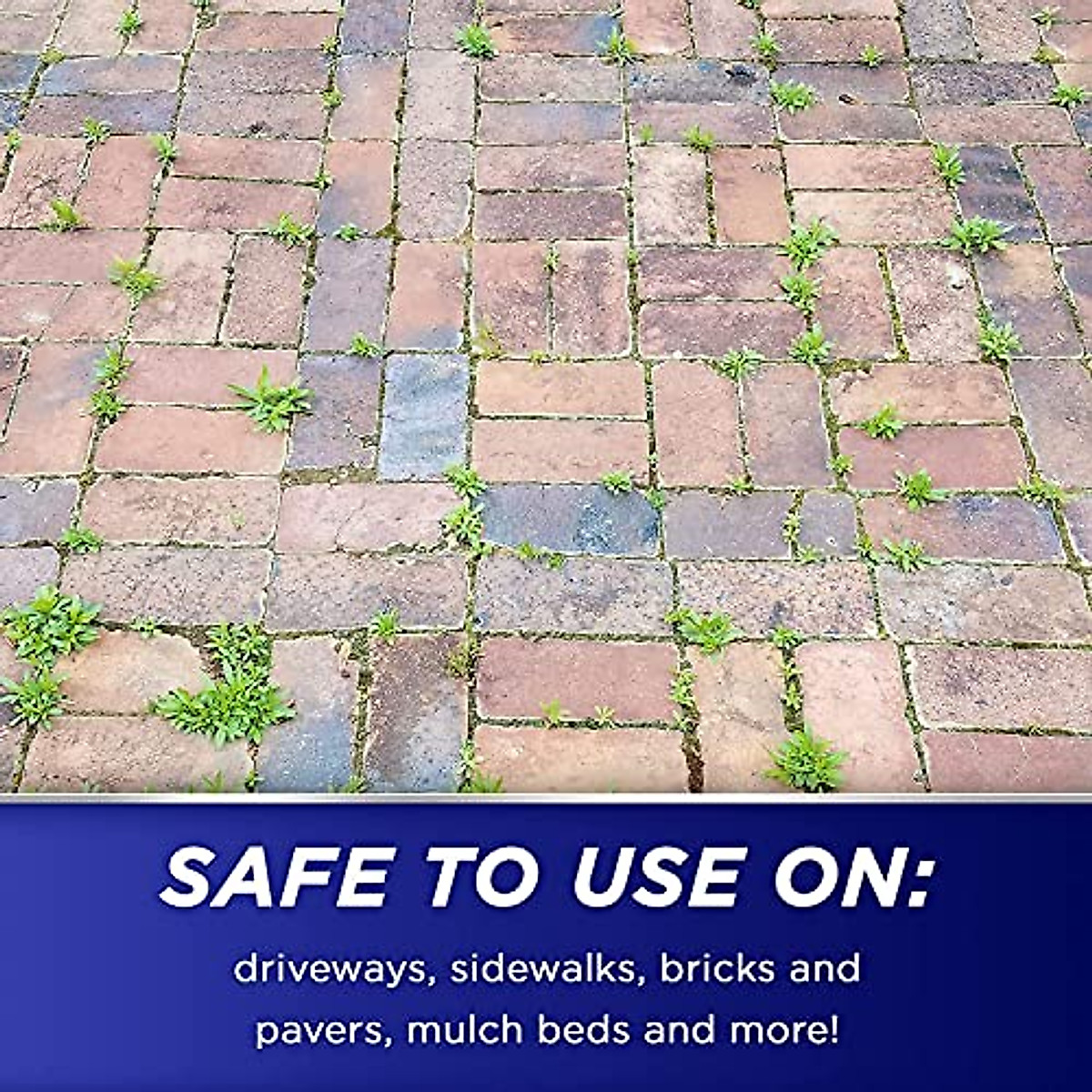 Green Gobbler 20% Vinegar Weed & Grass Killer | Natural & Organic | Concentrated | 1 Gallon Spray | Glyphosate Free Herbicide