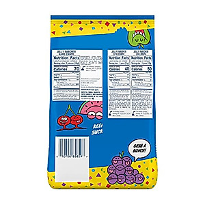 JOLLY RANCHER Assorted Fruit Flavored Mixed Hard, Individually Wrapped Candy Bulk Variety Bag, 46 oz