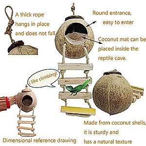 kathson Lizard Coco Den Gecko Coconut Husk Hut with Ladder Reptile Terrarium Plants Decor Hanging Lizards Hideouts Habitat Climbing Decorations Jungle Climber Vines for Chameleon 5 Pack