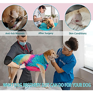 Uadonile Dog Surgery Recovery Suit, Surgical Recovery Suit for Dog Male Female, Spay Neuter Dog Recovery Suit, Cone Alternative Dog Surgical Onesie, Tie-dye Green, XXL
