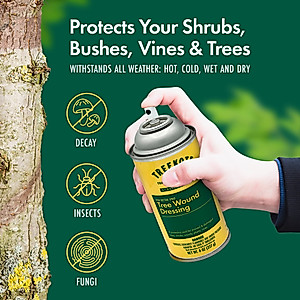 Treekote Tree Wound Dressing - 8 OZ Aerosol Pruning Sealer Spray for Damaged Trees, Bushes, or Shrubs - Fast Acting and Effective Tree Wound Sealer Spray - Prune Sealer Wound Repair for Bonsai Trees