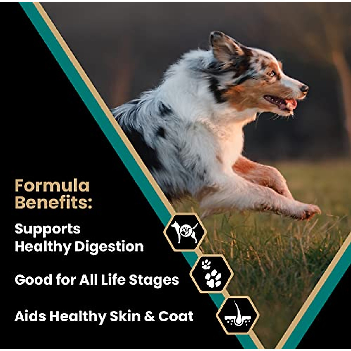 Victor Super Premium Dog Food – Select - Ocean Fish Formula – Gluten Free Dry Dog Food for All Normally Active Dogs of All Life Stages, 40lbs