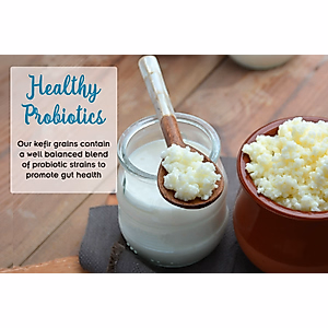 Fusion Teas 1 TBSP Organic Milk Kefir Grains and ebook “Milk Kefir Unleashed by Thomas Egbert” - Fresh Live Active Probiotic Starter Cultures