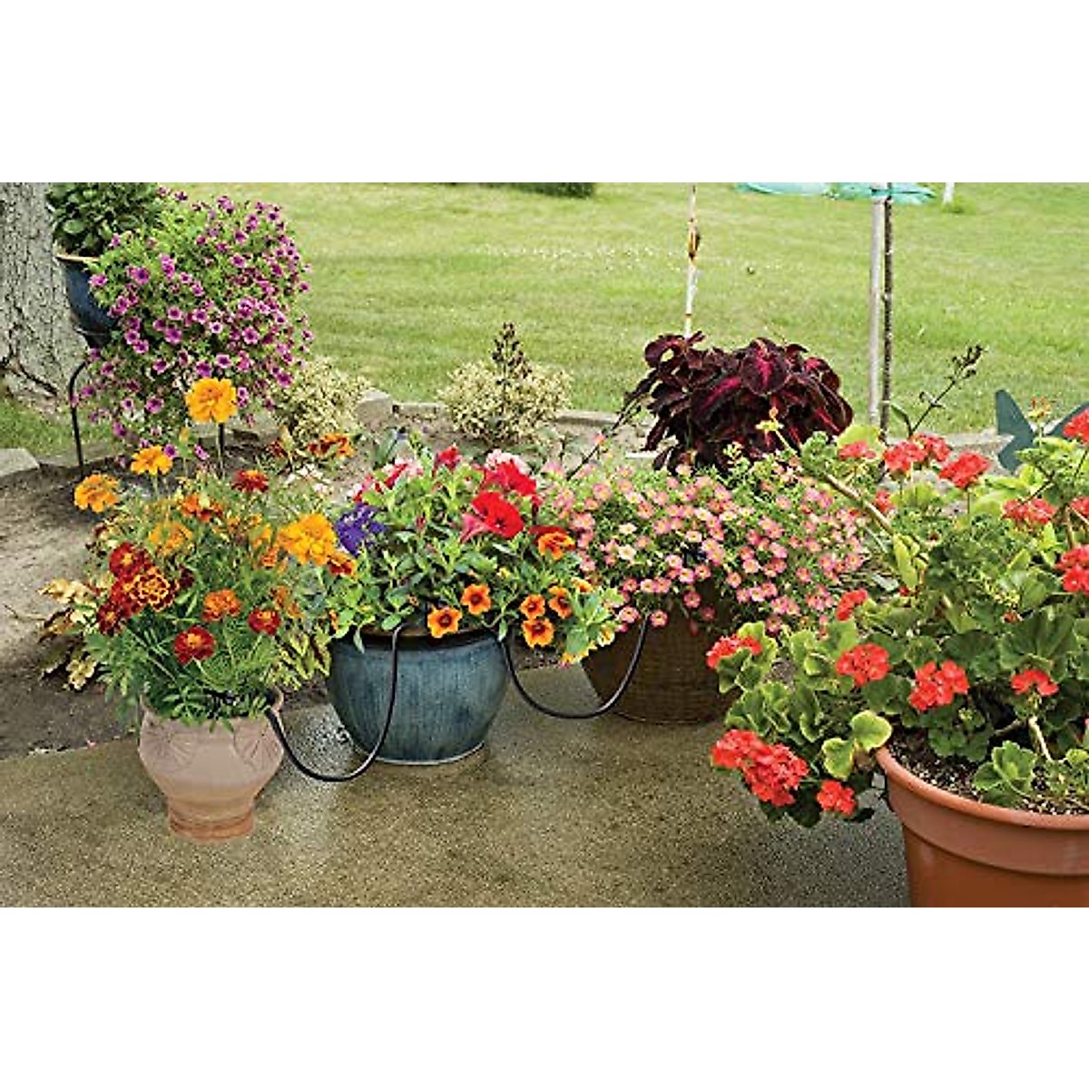 Raindrip R560DP Automatic Drip Irrigation Watering Kit with Timer for Containers and Hanging Baskets, Waters up to 20 Plants, Includes Timer with Customizable Settings and 20 PC Drippers,Black
