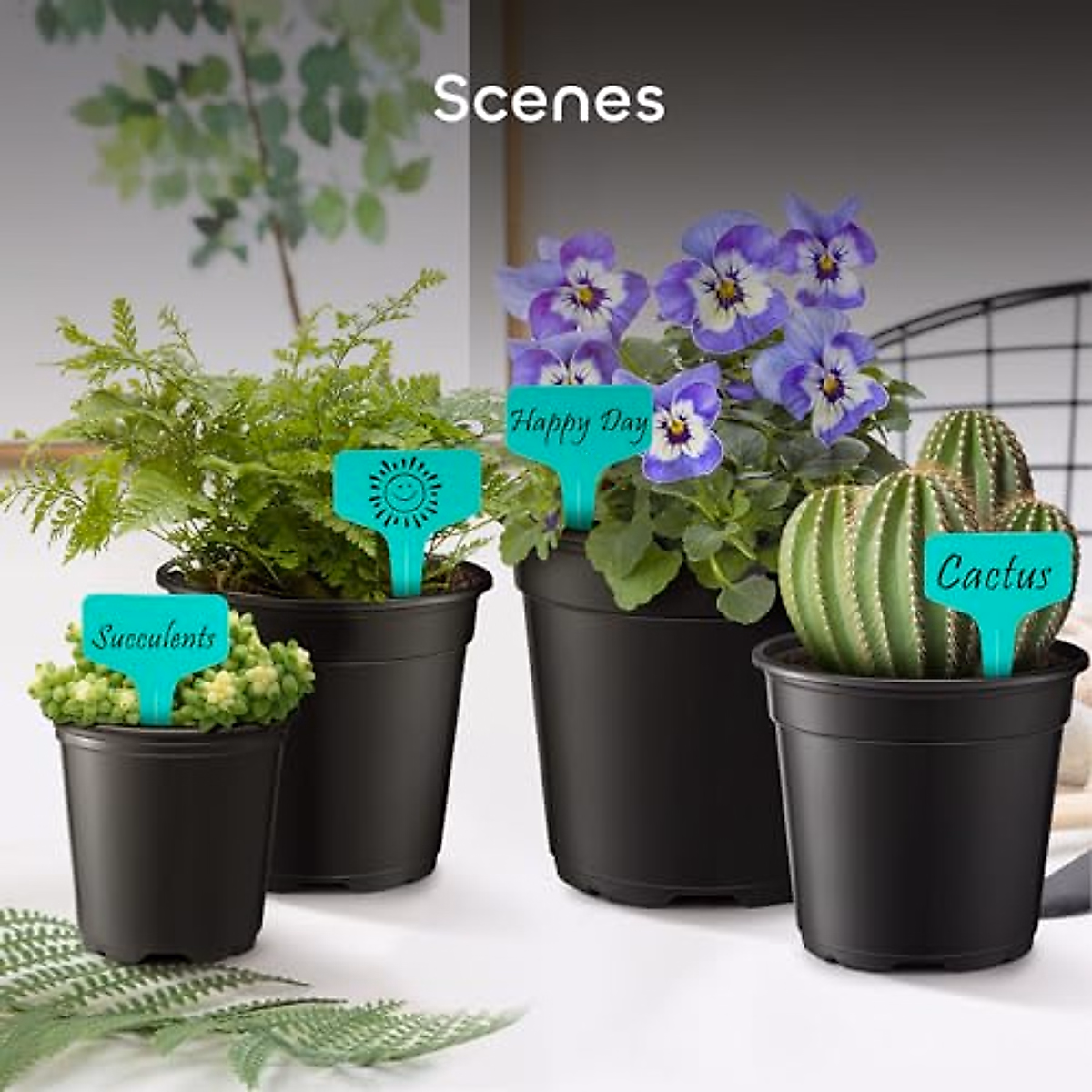 GROWNEER Nursery Pots with Drainage Holes Pack of 24 Pots 3.5/4.5/5.5/6.5 Inch and Plant Label Flexible Seedling Pots Seed Starting Planter for Indoor Outdoor, Flowers, Succulents, Cactus