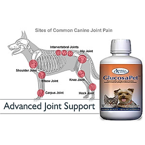 Omega Alpha Pets Performance and Mobility- GlucosaPet (1L)