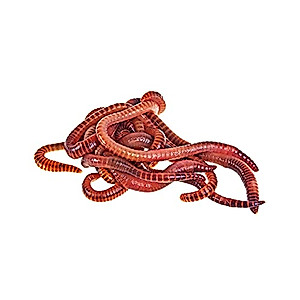 Best Value! 2000+ Red Wigglers Composting Worms Perfect for Worm Composting with Guaranteed Live Delivery Approximately 2 Pound Live Red Wiggler Worms Fast Delivery! (2000)