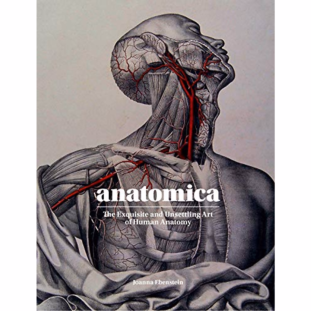 Anatomica: The Exquisite and Unsettling Art of Human Anatomy