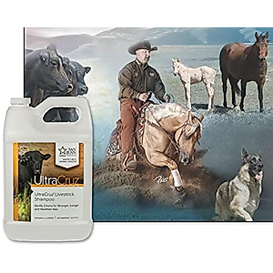 UltraCruz Livestock Shampoo, 1 Gallon
