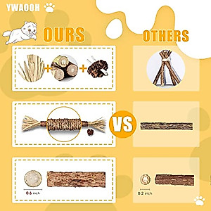 YWAOOH Catnip Toys with Silvervine for Cats, Cat Chew Toy for Kitten Teething, Interactive Cat Toy for Indoor Cats, Natural & Safe Cat Toys