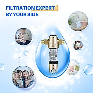 GOLDEN ICEPURE Backwash Spin Down Sediment Water Filter, 40 Micron Reusable Flushable Pre-Filtration System, 1" MNPT + 3/4" FNPT + 3/4"MNPT, BPA Free