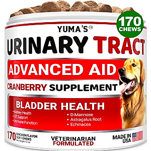 Dog UTI Treatment - 170 Treats - Cranberry Supplement for Dogs - Bladder Control for Dogs - Dog Urinary Tract Infection Treatment - UTI Medicine for Dogs Multivitamin - Dog Vitamins and Supplements