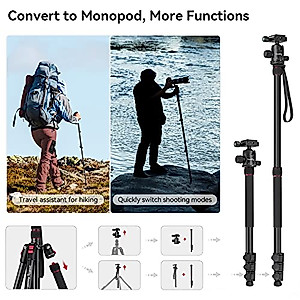SmallRig 78" Camera Tripod, Foldable Aluminum Tripod & Monopod, 360°Ball Head Detachable and Quick Release Plate, Payload 33lb, Adjustable Height from 18.5" to 78" for Camera, Phone - 3474