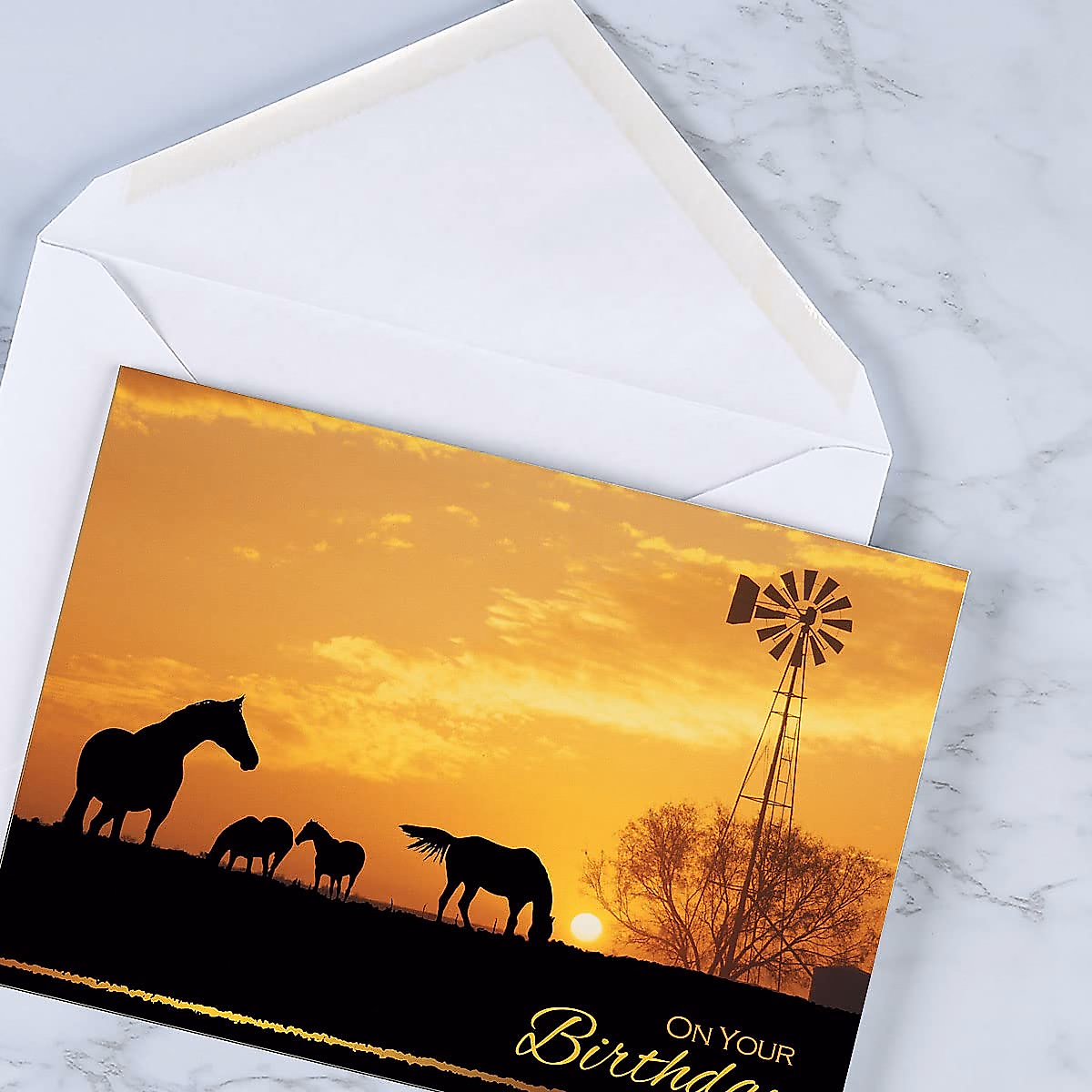 Current Scenic & Graphic Birthday Greeting Cards Value Pack - Set of 20, 10 Unique Designs, Large 5 x 7 Inch Cards, Sentiments Inside, Envelopes Included