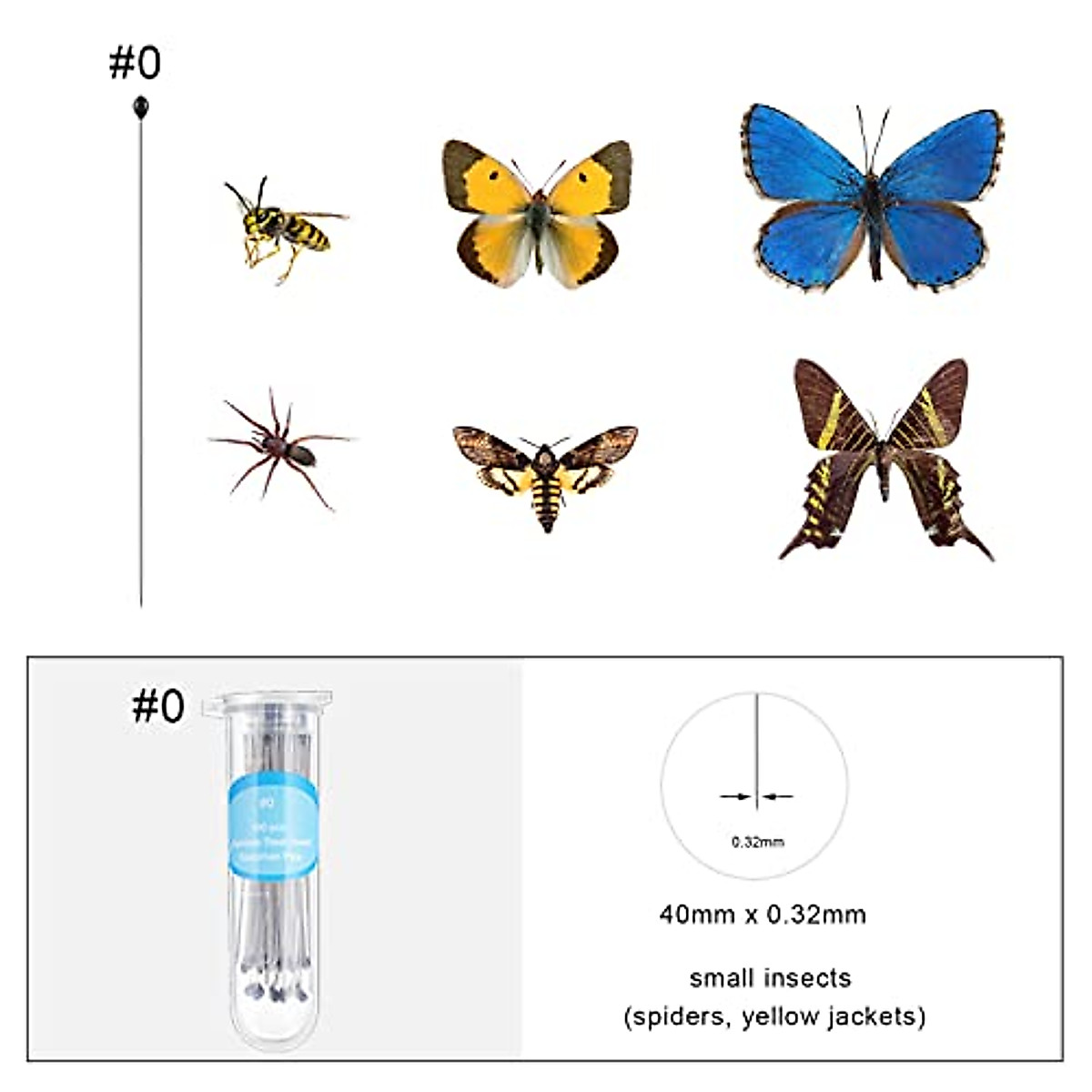 Insect Display Case Box Collection Box with Clear Top, EVA Foam Pinning Board and 100 Pieces Pins Insect Shadow Box Kit Entomology Supplies for Collecting Butterfly Specimen (Black)