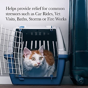 Nutri-Vet Pet-Ease Calming Paw Gel for Cats | Support for Cat Anxiety and Stress | Tasty & Easy to Give | 3 Ounce Tube