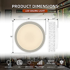 VICNIE Flush Mount Light Fixture, 12 inch 15W 1100 Lumens LED Ceiling Lights, Dimmable 3000K Warm White, ETL Listed for Kitchen, Hallway, Bedroom, Stairways (Metal Body and Acrylic Shade)