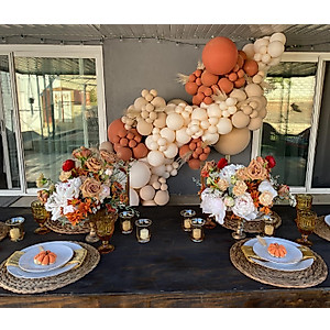 Fealixgener 152pcs Fall Balloon Arch Kit, Double Stuffed Terracotta Balloons, Thanksgiving Autumn Birthday Party Decorations