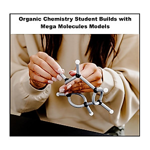 Organic Chemistry Molecular Model Set (140 Pieces)