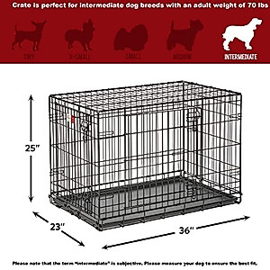 Dog Crate | MidWest Life Stages 36" Double Door Folding Metal Dog Crate | Divider Panel, Floor Protecting Feet, Leak-Proof Dog Pan | 36L x 23W x 25H Inches, Intermediate Dog Breed
