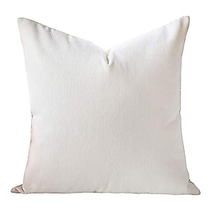 Homey COZY 14x20 Chenille Indoor/Outdoor Accent Pillow (Set of 2), Ivory 2 Count