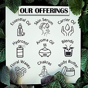 Deve Herbes Pure Vanilla Essential Oil 30ml (1 oz)