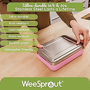 WeeSprout 18/8 Stainless Steel Bento Box (Large) - 3 Compartment Metal Lunch Box, Skid-proof Silicone, for Kids & Adults, Bonus Dip Container, Fits in Lunch & Work Bags, Dishwasher & Freezer Friendly