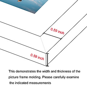BESCRCL 11x14 Picture Frame Black Set of 6, Display Pictures 8x10 with Mat or 11x14 without Mat, Photo Frames for Wall Mounting