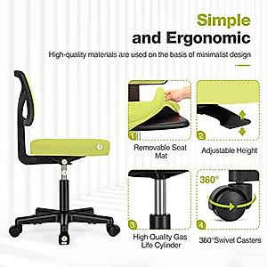 Home Office Chair Mesh Armless Computer Desk Chair Ergonomic Task Rolling Swivel Chair Adjustable Modern Chair with Lumbar Support, Green