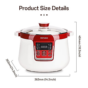 TIANJI Electric Stew Pot, Ceramic Pot for Soup, Desserts, Bird's Nest, Multiple ceramic liners, DGD32-32CG