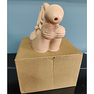 SIULAS Male Reproductive Organ Model - Anatomical Training Manikin - PVC Material, Light Brown, For Medical Professionals, Students, and Educators